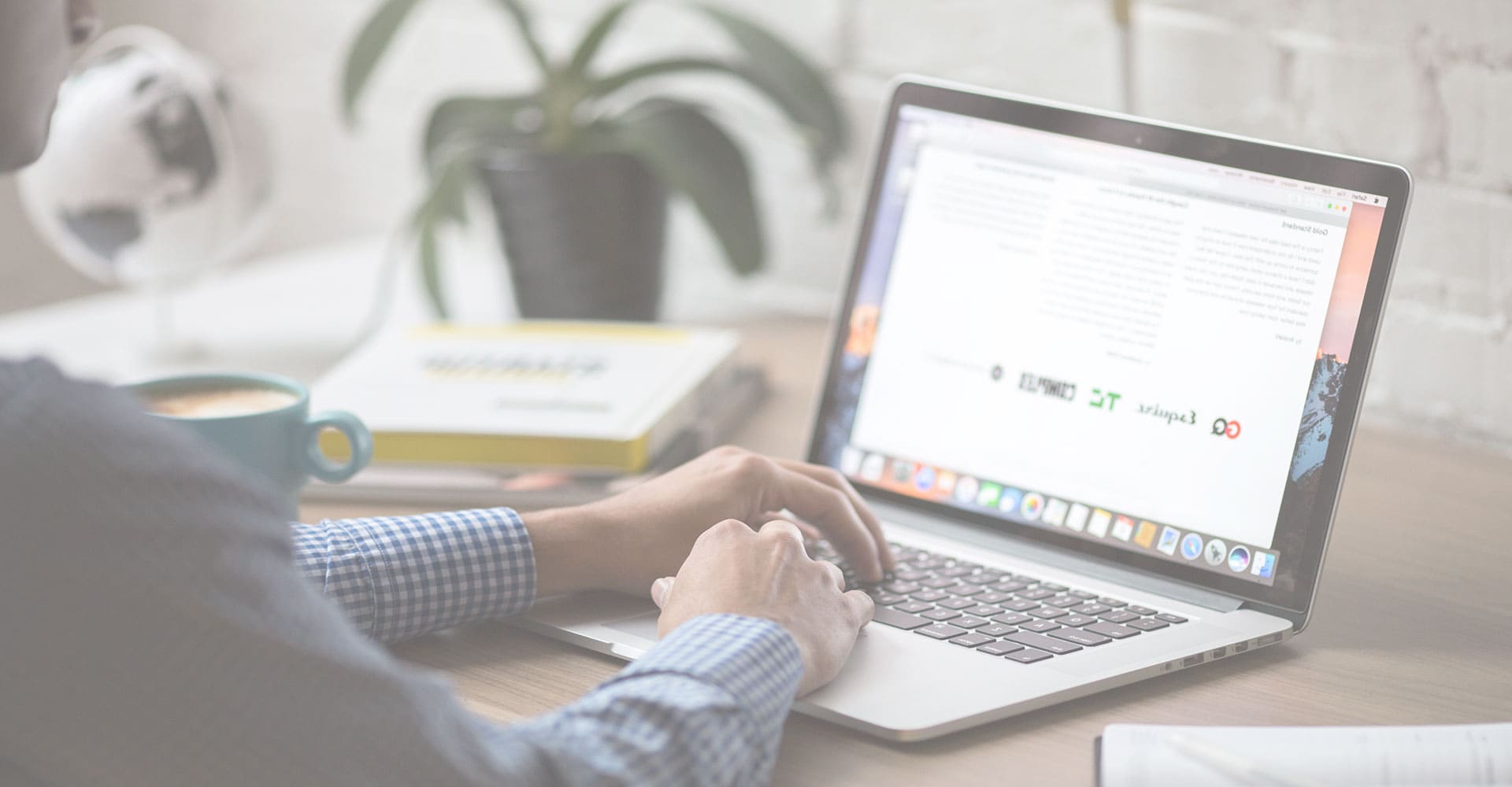 Redactor de Contenidos web profesional | Luzán